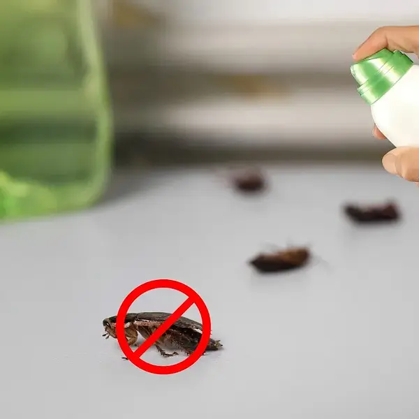 Best Cockroach Killers & Natural Remedies For Pest Free Home